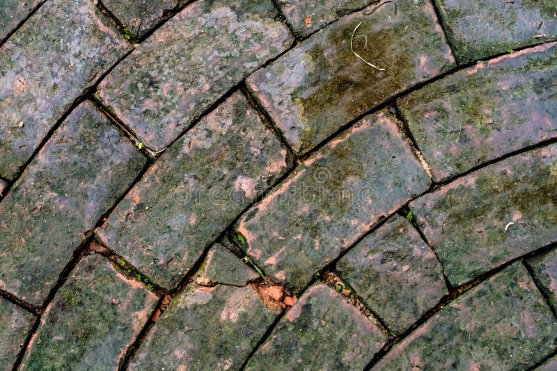 Curve Brick floor stock photo. Image of solid, backdrop - 82561616