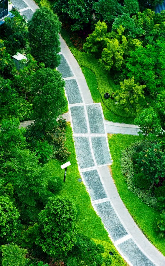 Top view of garden stock image. Image of path, pathway - 22635479