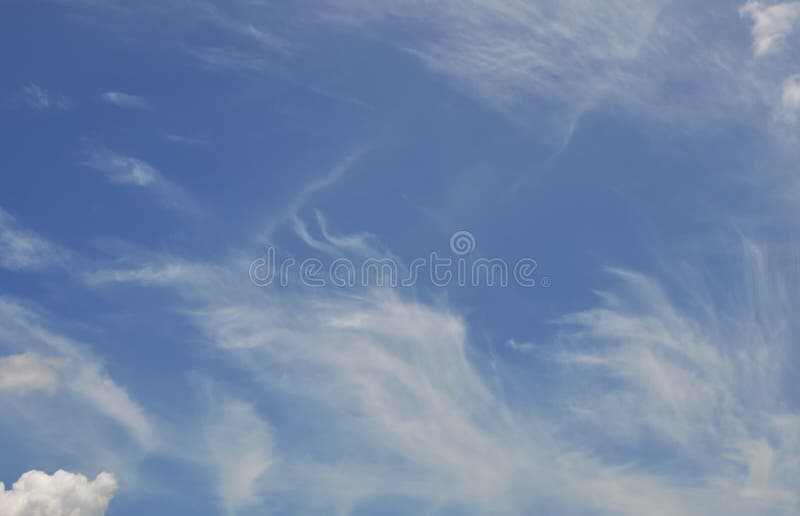 Curve Cloud Spread on Sky in Sunny Day Stock Image - Image of spread ...
