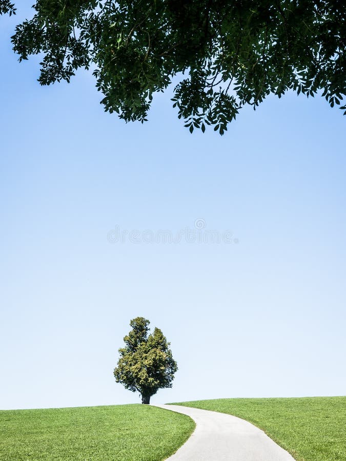 Curve stock image. Image of single, landscape, sunlight - 29843125