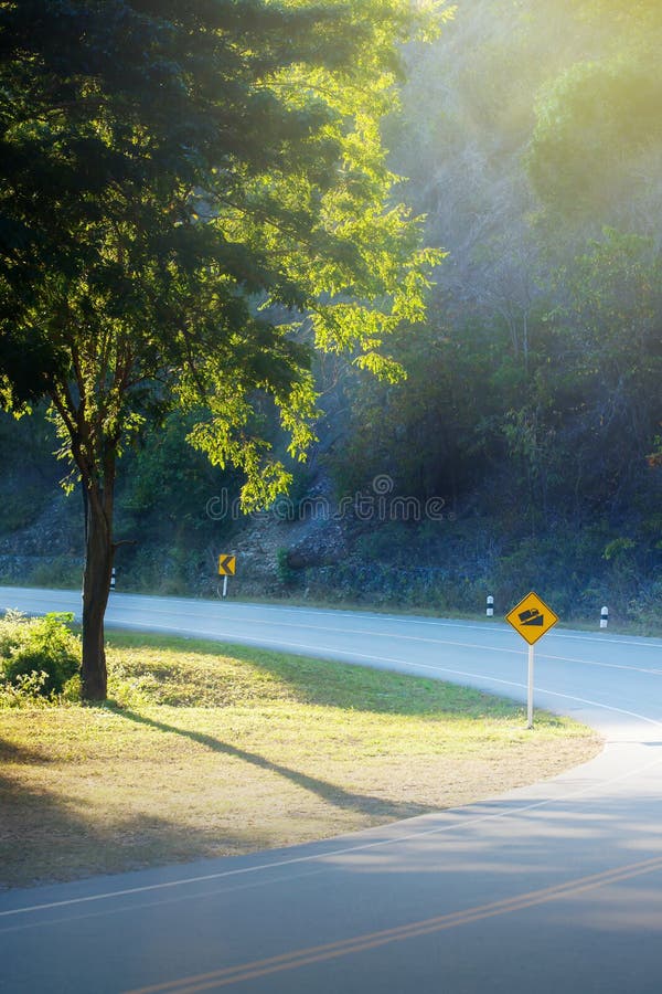 Curve Forest Road and Yellow Road Warning Signs Stock Photo - Image of ...