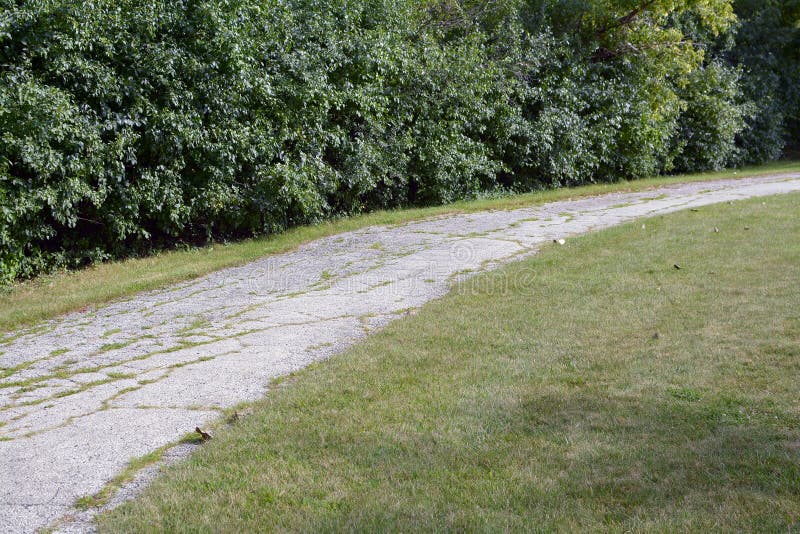 Curve path stock photo. Image of green, lawn, route, grass - 45504492