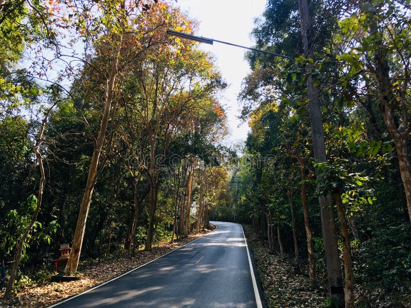 414 Sideways Path Stock Photos - Free & Royalty-Free Stock Photos from ...