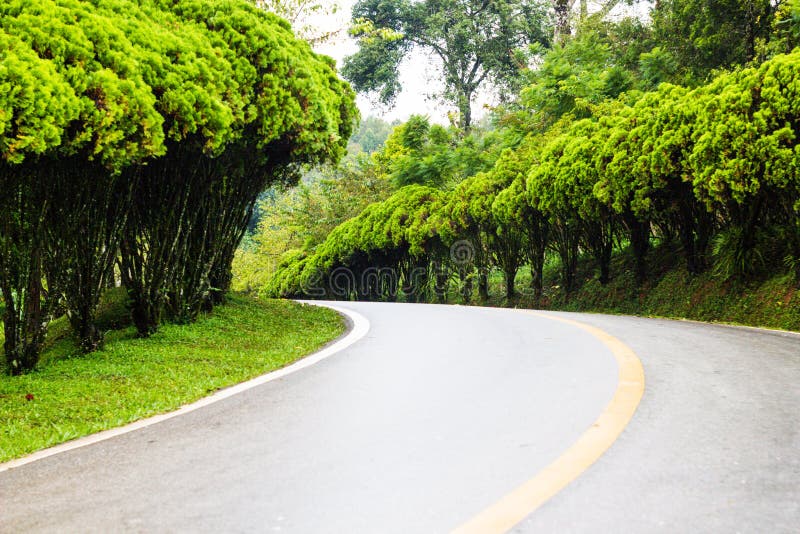 Curve Road View in Garden S Royal Stock Photo - Image of trees, country ...