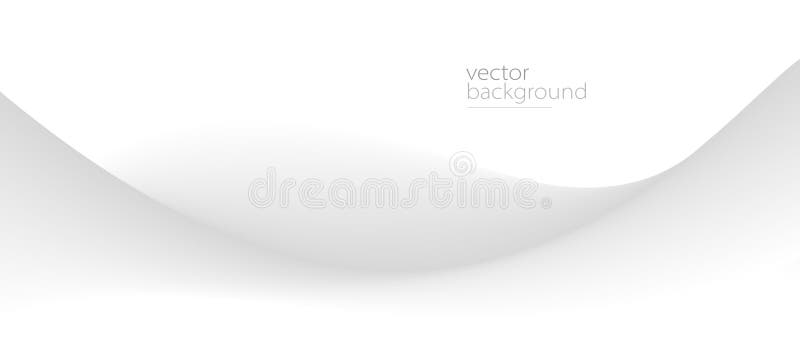 Curve Shape Flow Vector Abstract Background in Light Grey Gradient ...