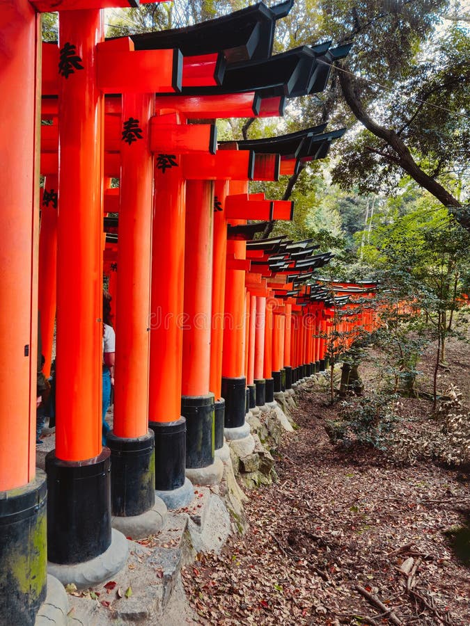 Curve Shape of a Japanese Cultural Structure Stock Photo - Image of ...