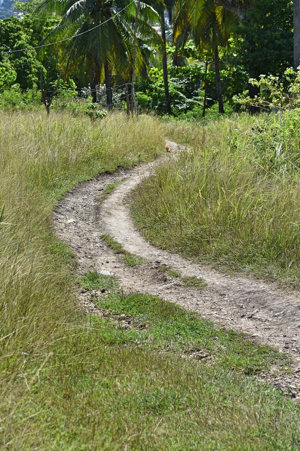 A Curve Shaped Dirt Path stock image. Image of soil - 269191775