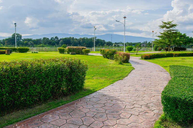 Curve Stone Walkway and Green Shrub in Public Park Stock Photo - Image ...