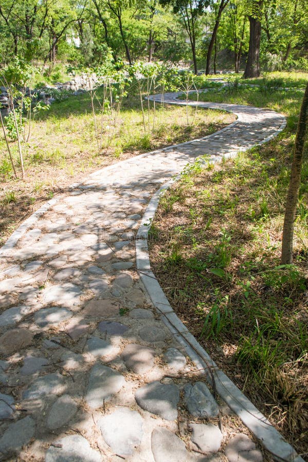Curve stone path in garden stock photo. Image of countryside - 14684850