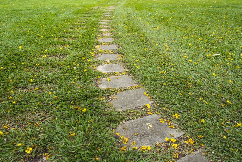 Wood Path Walkway & Green Grass Lawn in Perspective View Stock Image ...