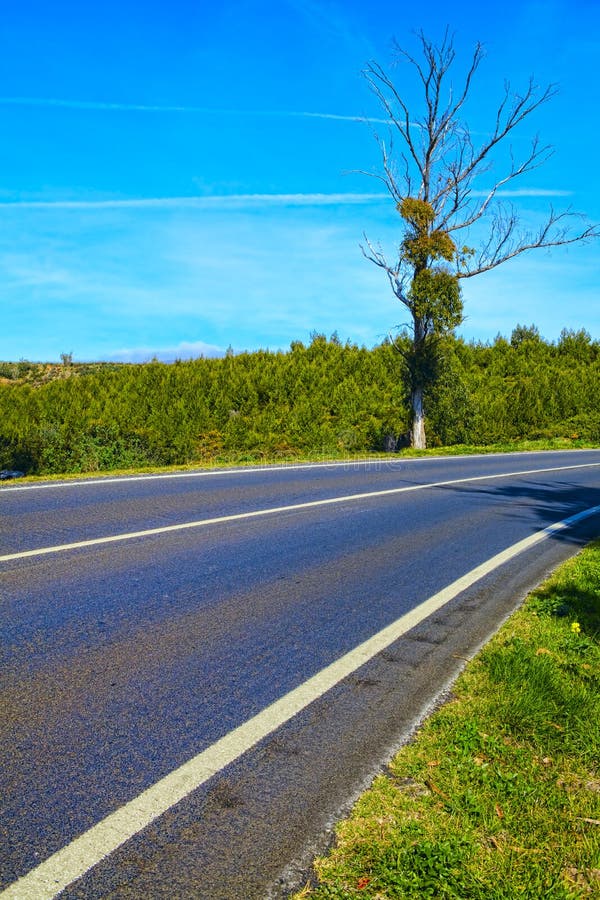 Curve way of asphalt road stock image. Image of highway - 66627375