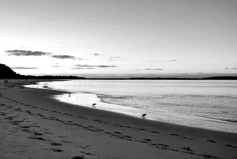 Curved Beach Sunset Picture. Image: 3708911
