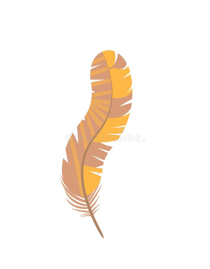 Curved Feather Stock Illustrations – 1,906 Curved Feather Stock ...