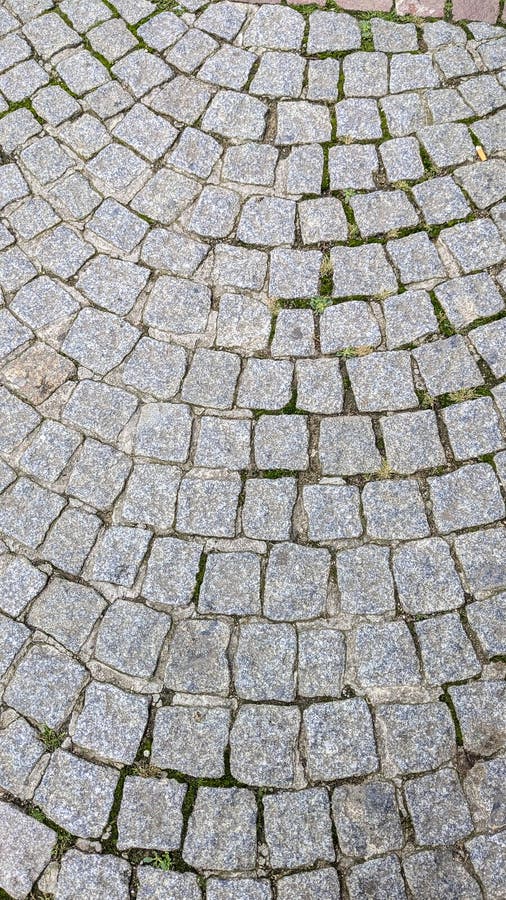 Curved Cobblestone Pavement with Moss, Geometric Pattern of Square ...