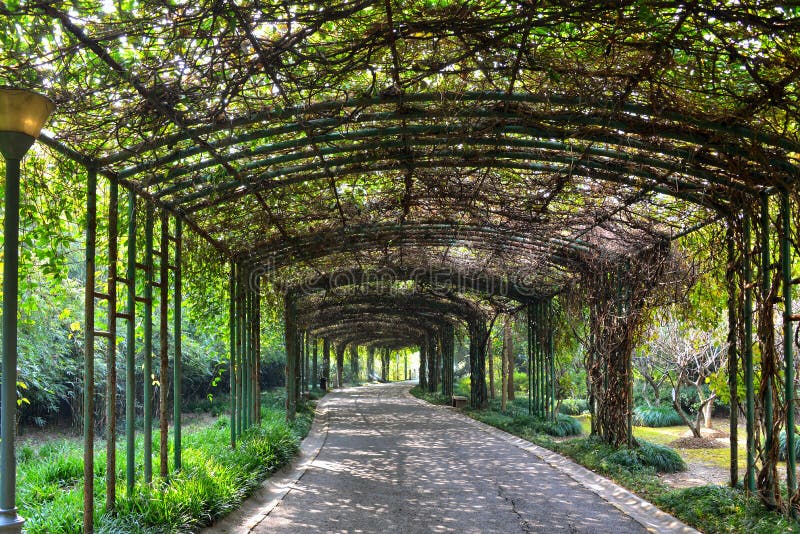 Curved covered pathway stock photo. Image of lush, green - 214730224