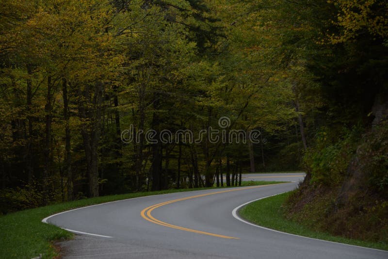A Curved, Curvy Road is Shown in Front of Some Trees Stock Image ...