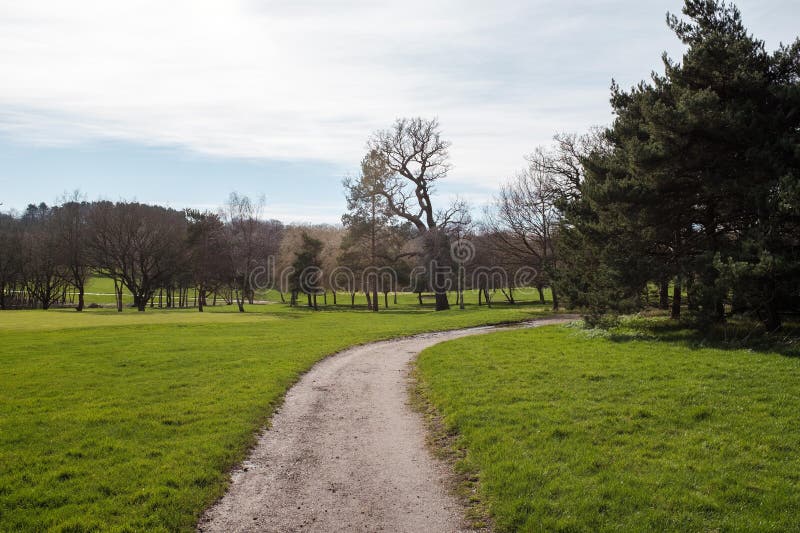 Curved Dirt Path Winds through a Lush, Green Grassy Field Bordered by ...
