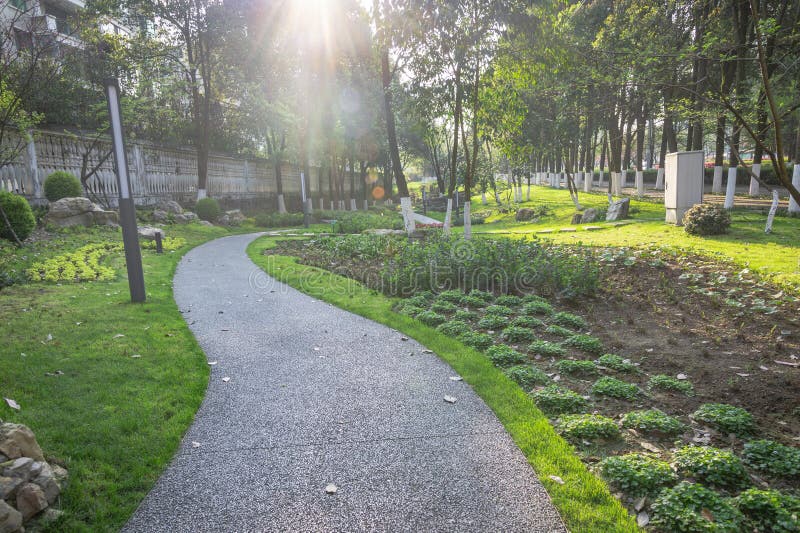Curved garden path in park stock image. Image of cobble - 312986891