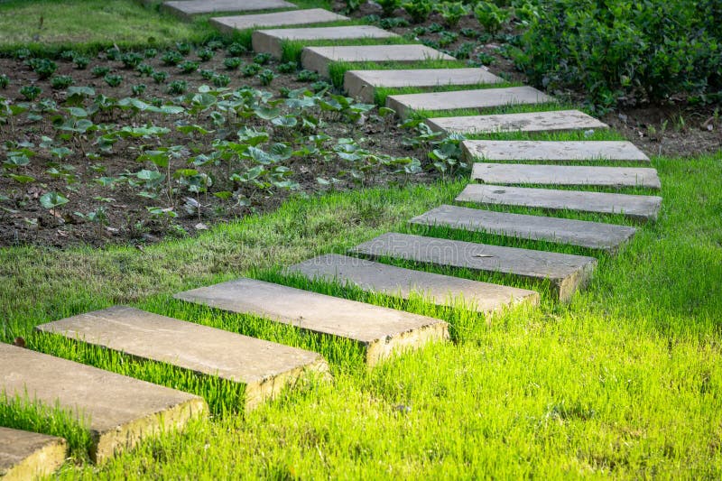 Curved Garden Stone Path in Park Stock Image - Image of botanic ...