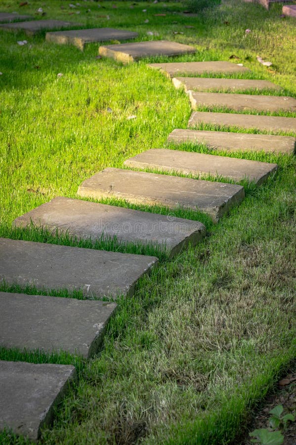 Curved Garden Stone Path in Park Stock Photo - Image of botany, grass ...