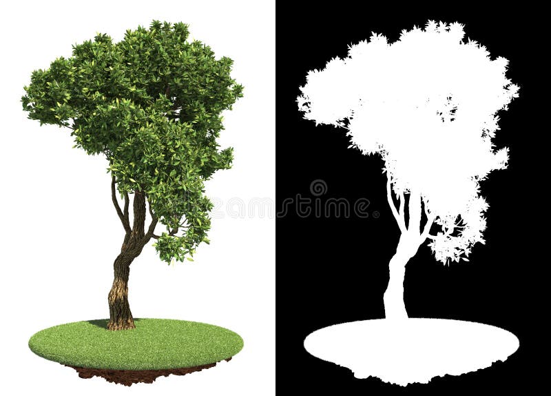 Curved Green Tree on White Background. Stock Illustration ...