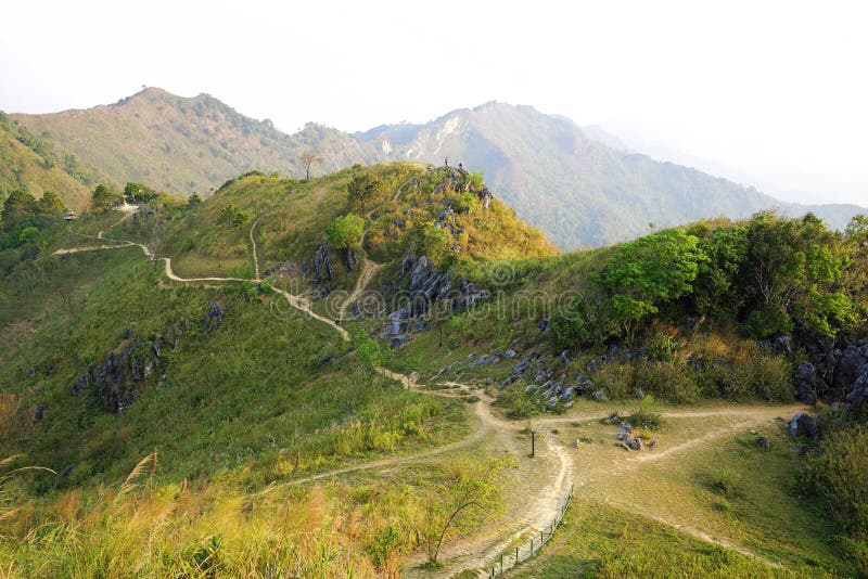 Curved Mountain Path in the Morning at Doi Pha Tang, Chiangrai, Stock ...