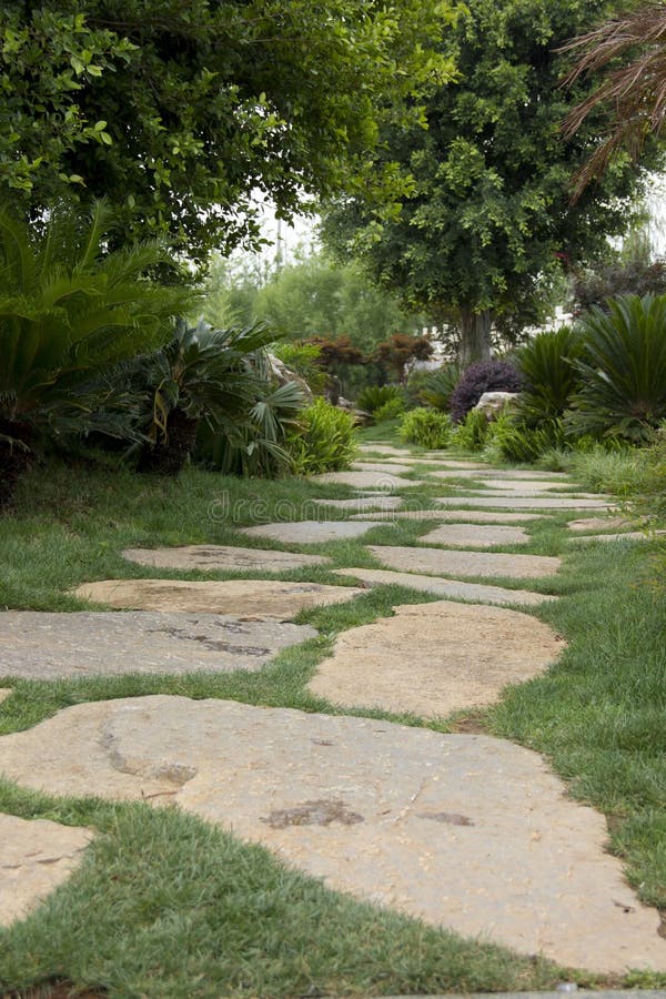 The curved path stock image. Image of drive, summer, road - 23033741