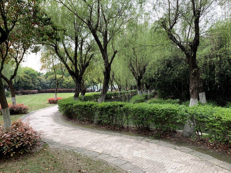 Curved Path Past White Building Skopolos Stock Image - Image of plant ...