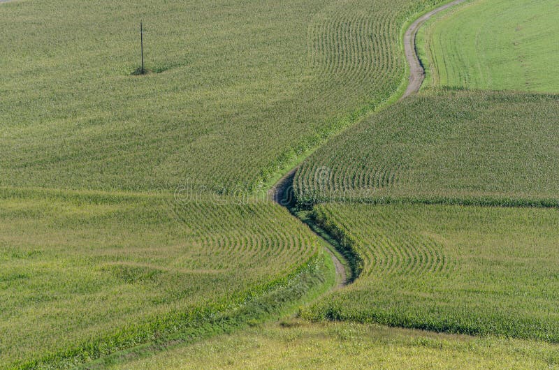 Curved path and fields stock photo. Image of naturally - 87613550