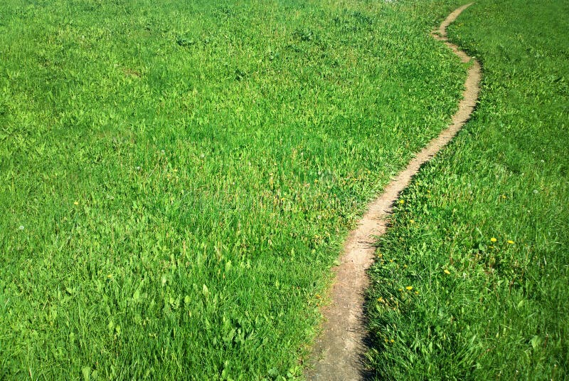 Curved Path on Green Summer Lawn Background Stock Photo - Image of ...