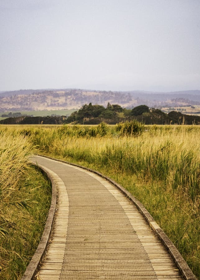 Curved path in marshlands stock photo. Image of countryside - 188116884