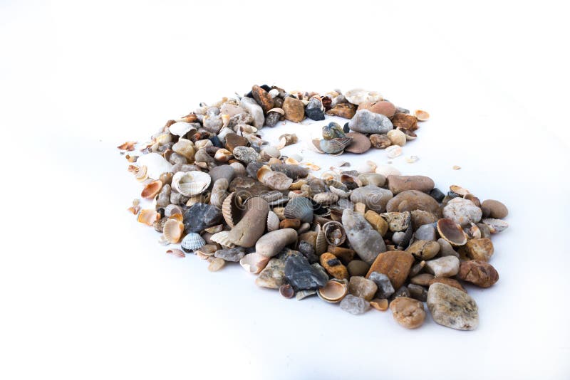 218 Curved Shells Stock Photos - Free & Royalty-Free Stock Photos from ...