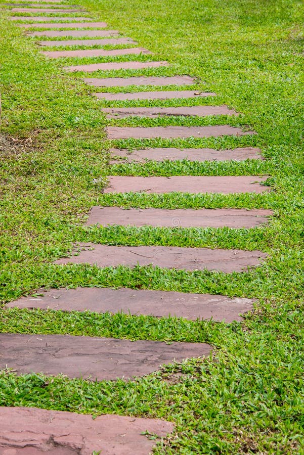 Curved Path stock photo. Image of road, background, forest - 37117592
