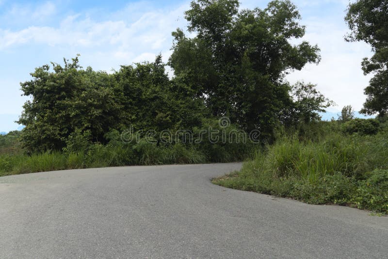 Curved Paths of Asphalt Road. Surrounded by Green Grass Trees Stock ...