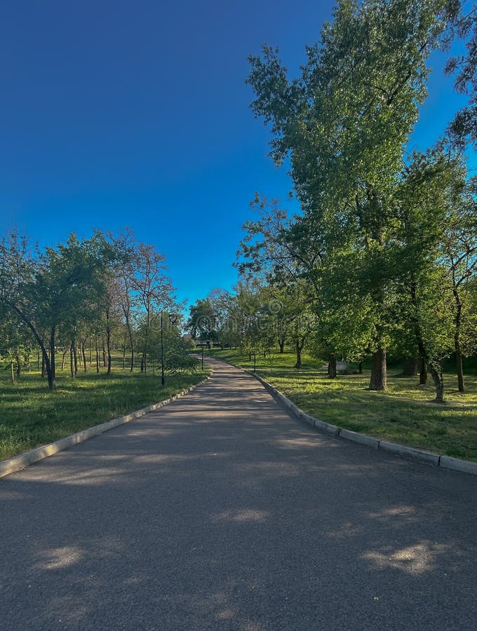 Curved Pathway in a Green Park Surrounded by Trees and Grass on a Sunny ...
