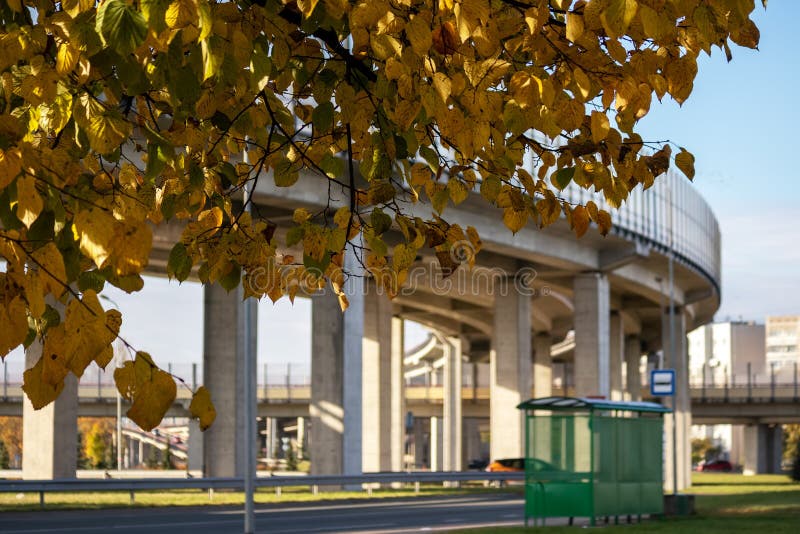 Curved Road Bridge Arch in Foreground of Yellow Tree Leaves Stock Photo ...
