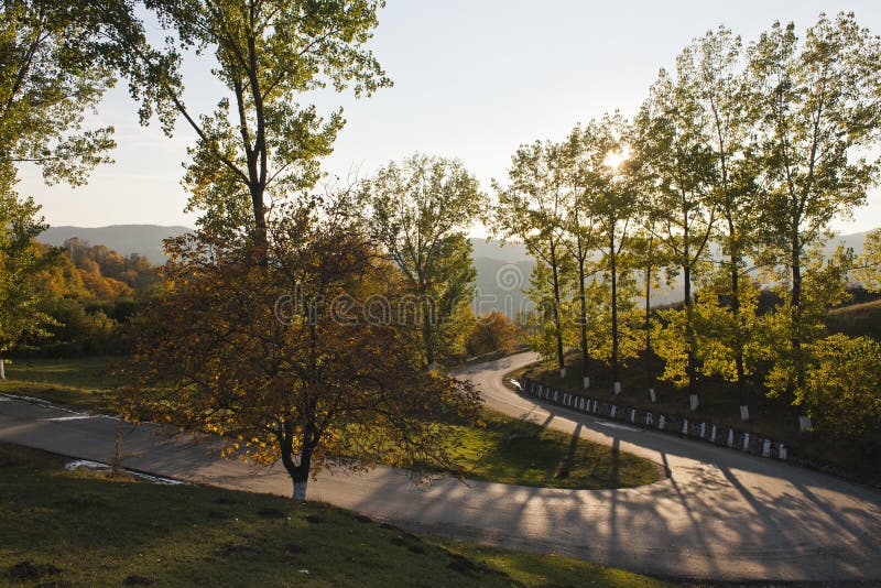 Curved road stock image. Image of fallen, seasonal, leaves - 66582367