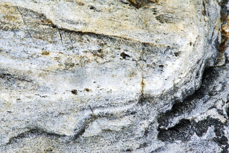 Curved Rock Texture Picture. Image: 4712858