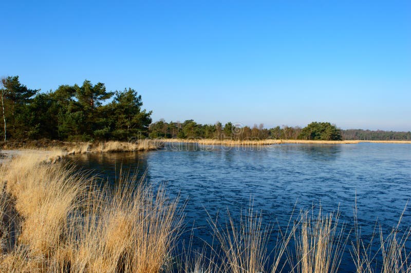 Curved Side in a City Park stock photo. Image of enjoyment - 154036182