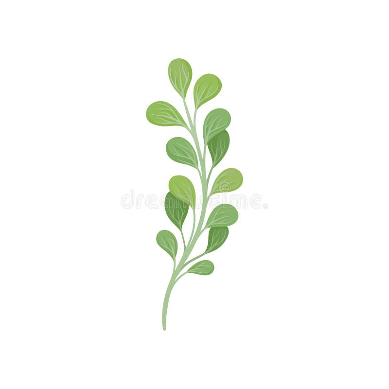 Curved Leaves Stock Illustrations – 1,975 Curved Leaves Stock ...