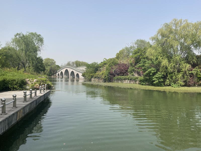 Bridge, tree stock photo. Image of path, bridge, salix - 369684568