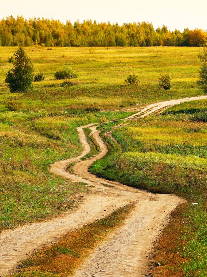 Twisted Road stock photo. Image of forest, twisted, corner - 11143874