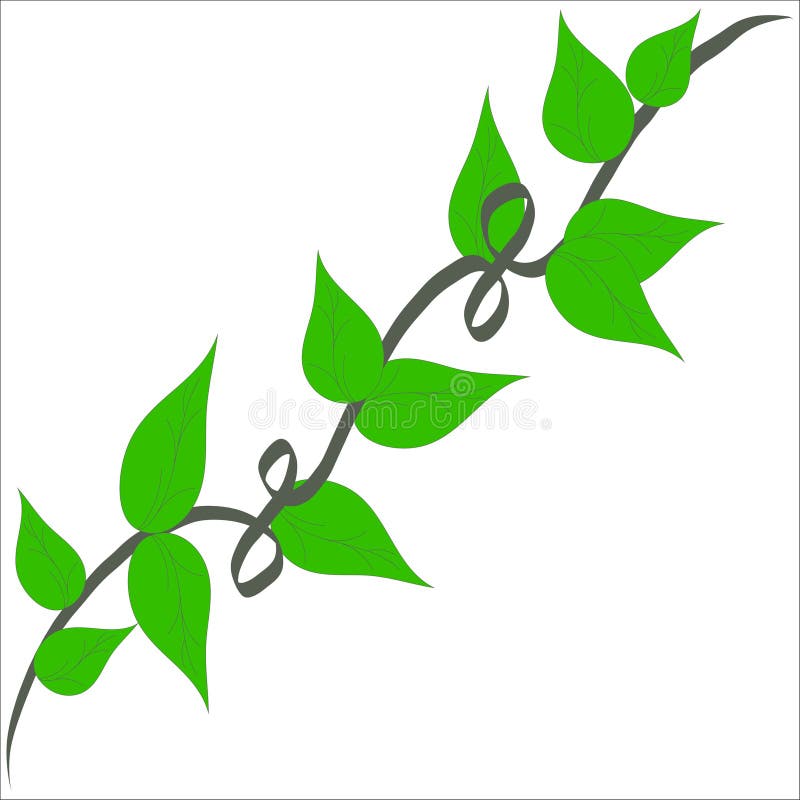 Climbing Plant Vector Frame Stock Illustrations – 1,603 Climbing Plant ...