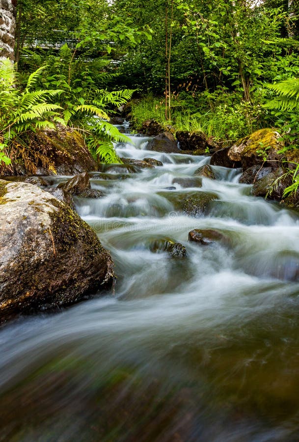 Curved water stock photo. Image of rocks, trees, flowing - 57705000