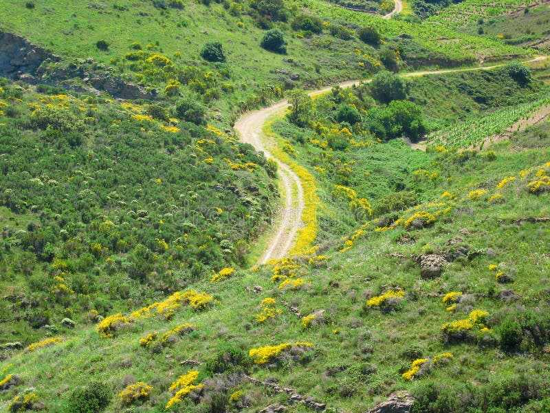 Curved way stock image. Image of peaceful, languedoc - 19640033