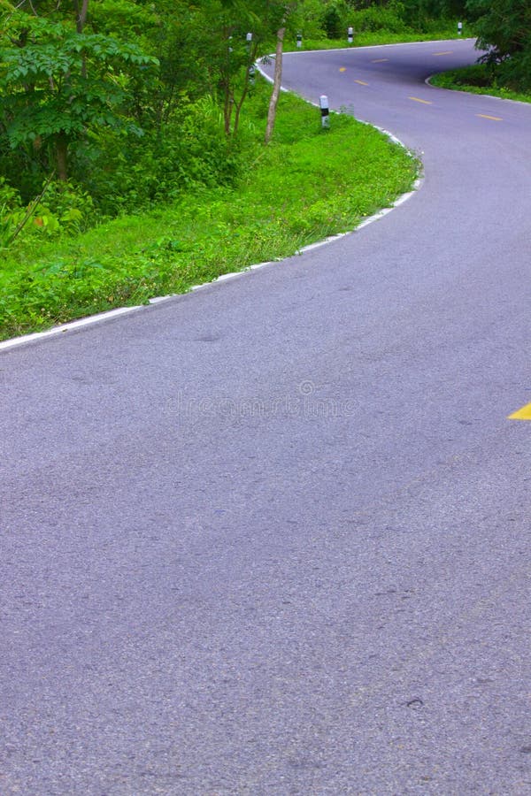 Curved way in the forest stock photo. Image of flora - 22824932