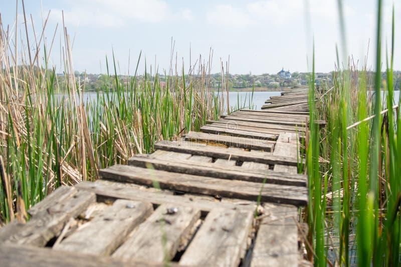 Curved Wooden Bridge Stretching into the Distance with Stock Image ...