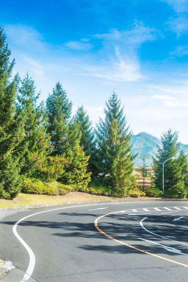 Curves of street stock image. Image of landscape, pine - 47274449