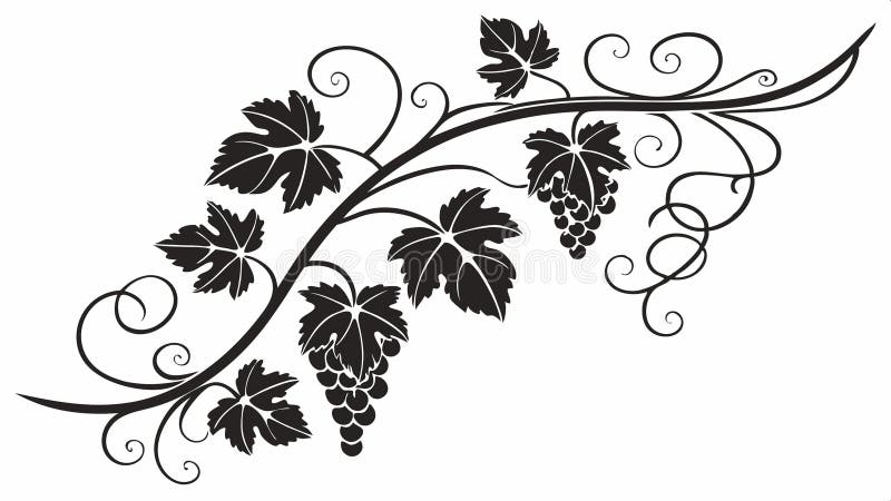 Grapevine Vector Stock Illustrations – 13,054 Grapevine Vector Stock ...
