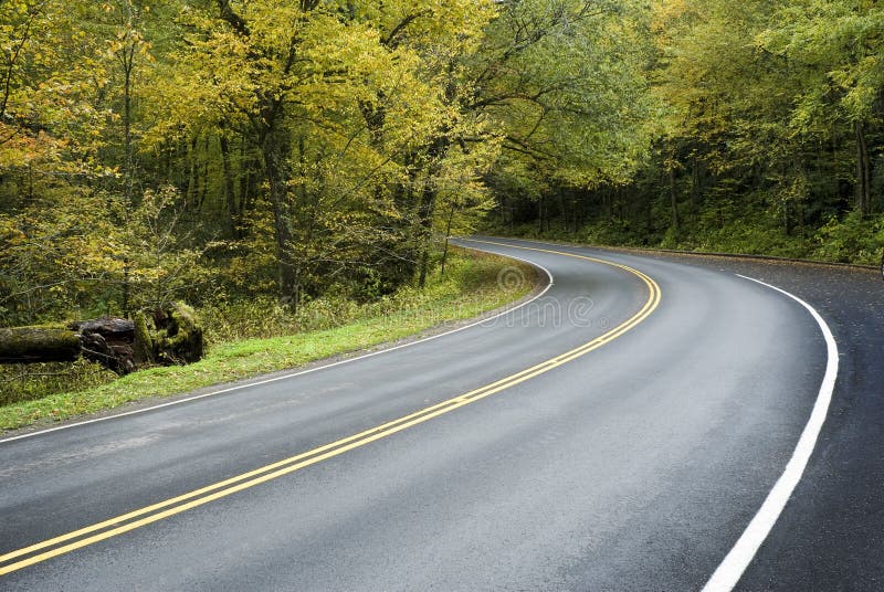 Horizontal Road Landscape